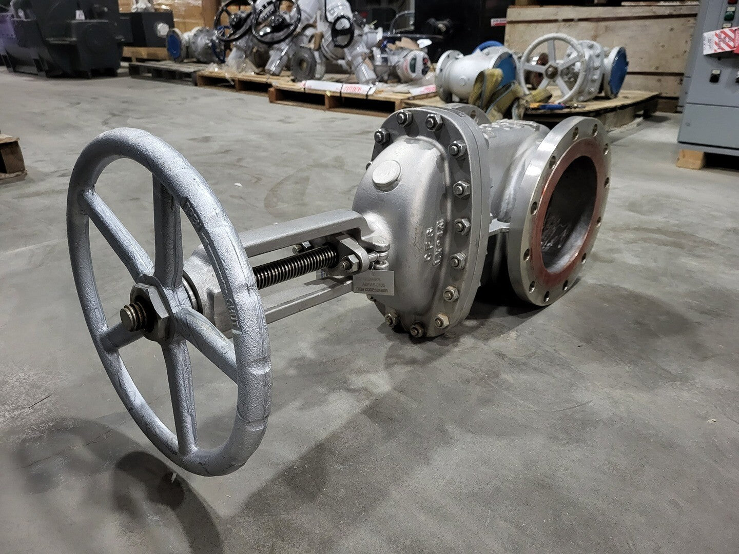 DHV 10" Class 150 Gate Valve B16.34