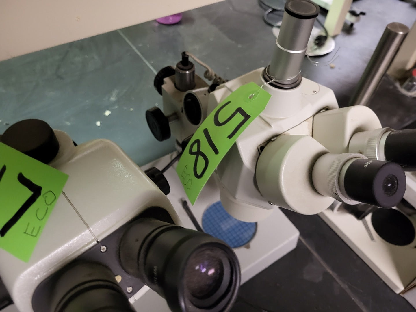 FISHER SCIENTIFIC COMPANY STEREOMASTER Binocular Microscope