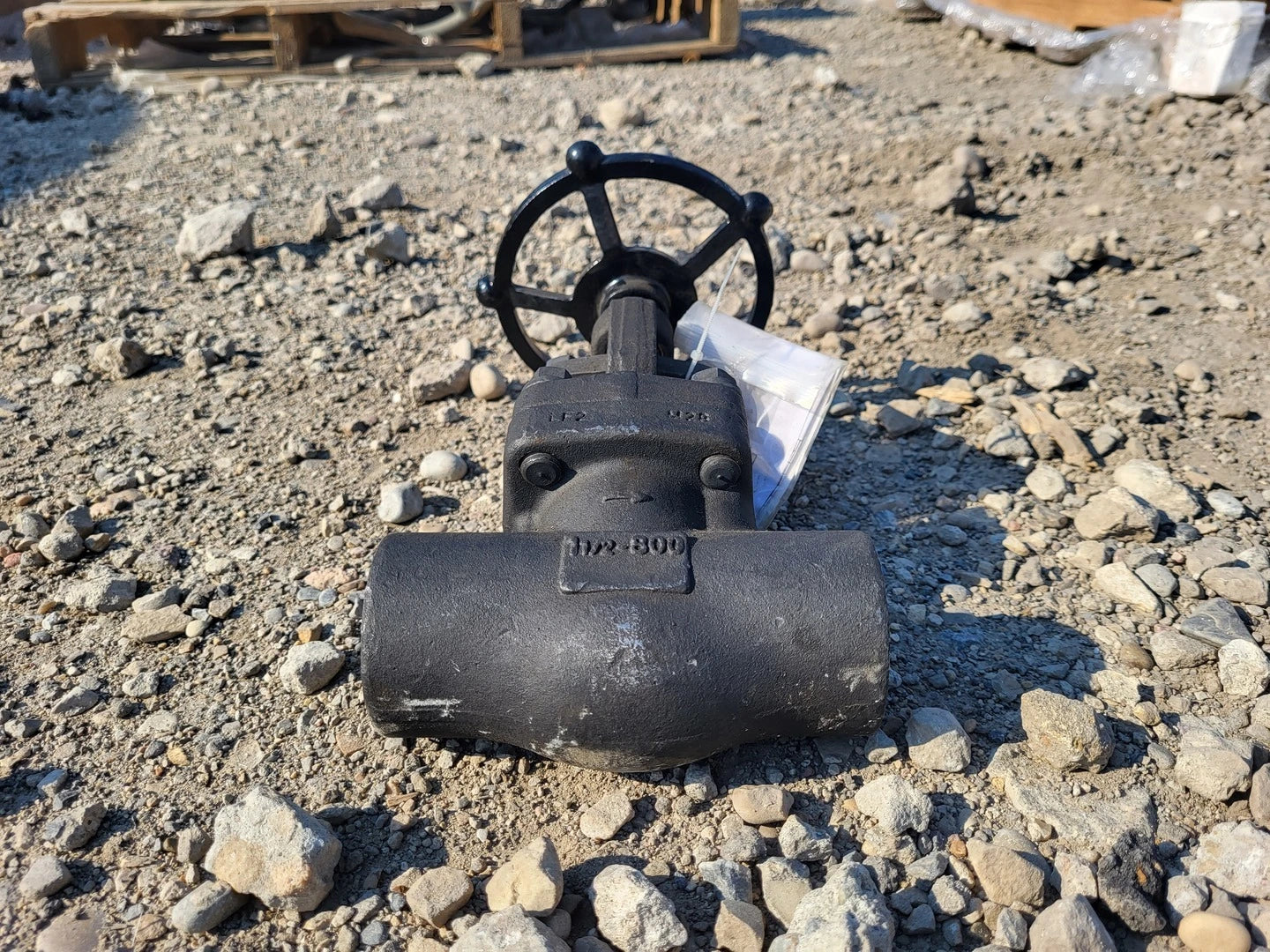 BERIC VALVES 1 1/2" Class 800 Globe Valve B16.34