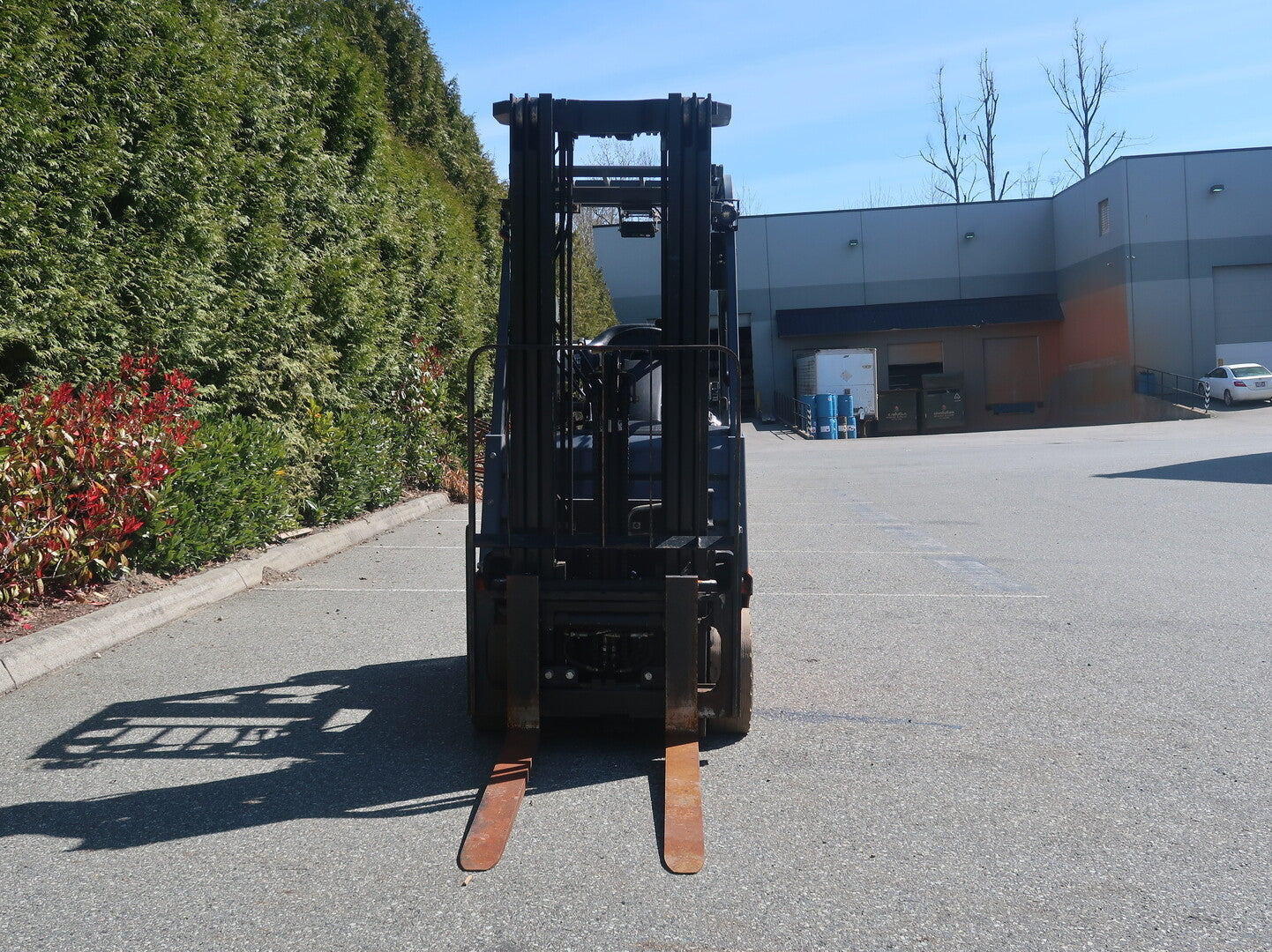 TOYOTA 2017 3500 lb Forklift 8FGCU18